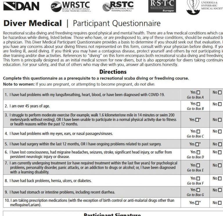 Training Archives - Divetalking | Divetalking