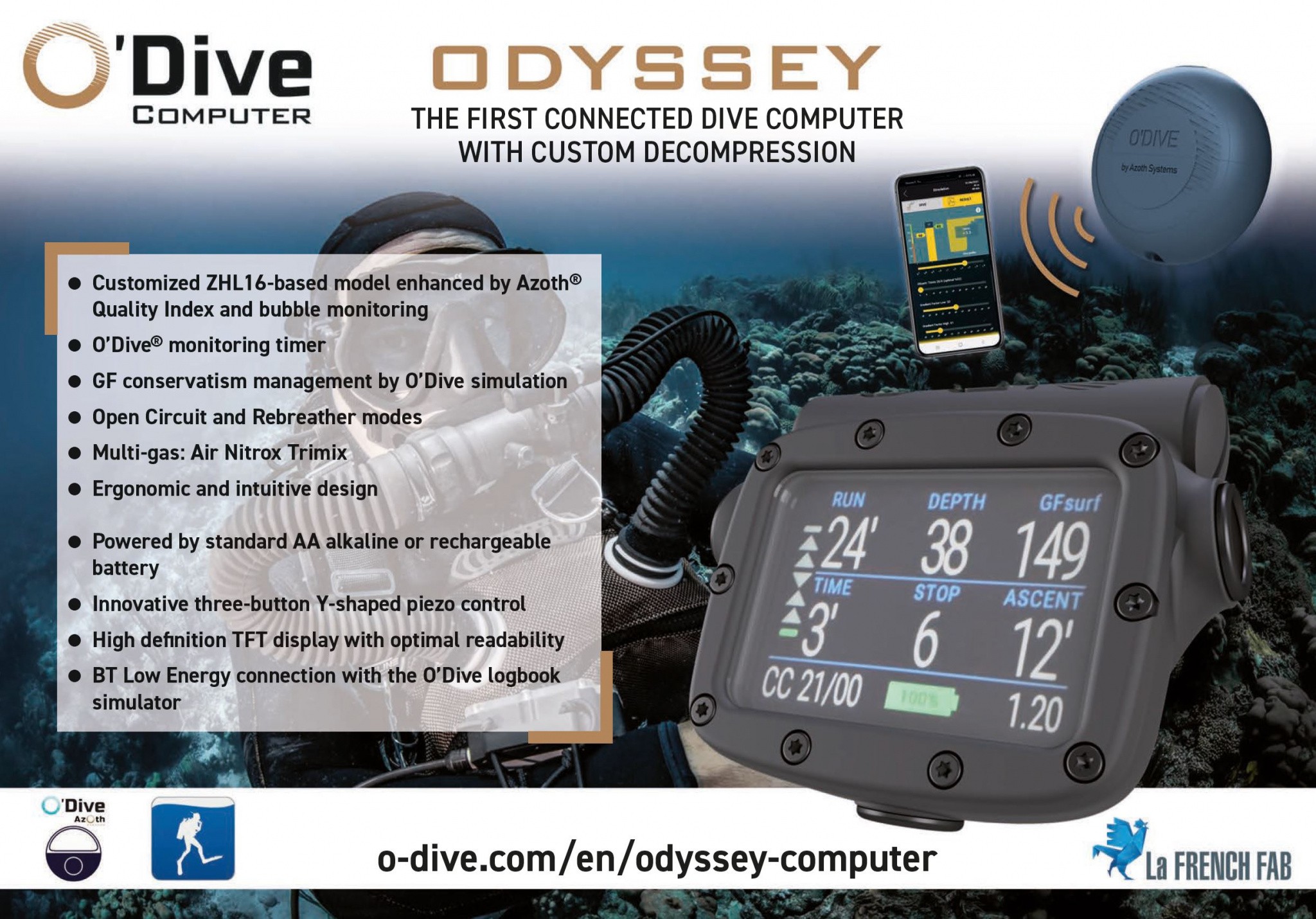 Divetalking - The best thing to do during your surface interval ...