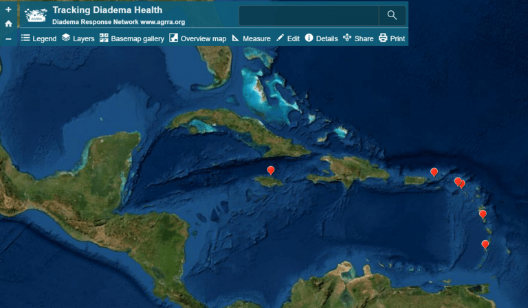 Divetalking - The best thing to do during your surface interval ...